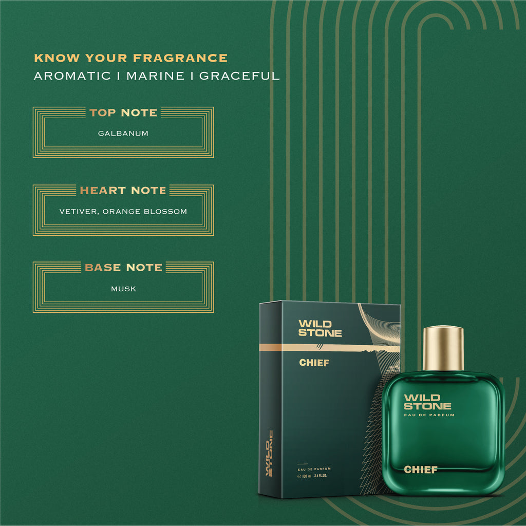Wild Stone Chief Perfume for Men 100 ml | Wild Stone