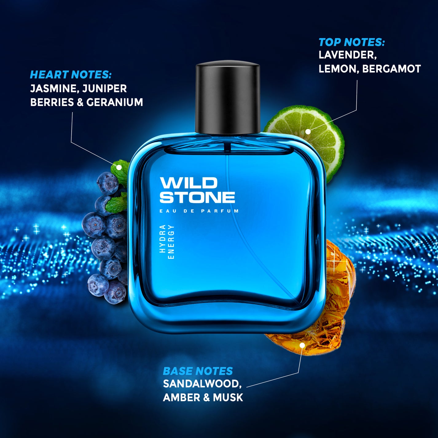 Wild Stone Men Hydra Energy Perfume 100 ml | Wild Stone