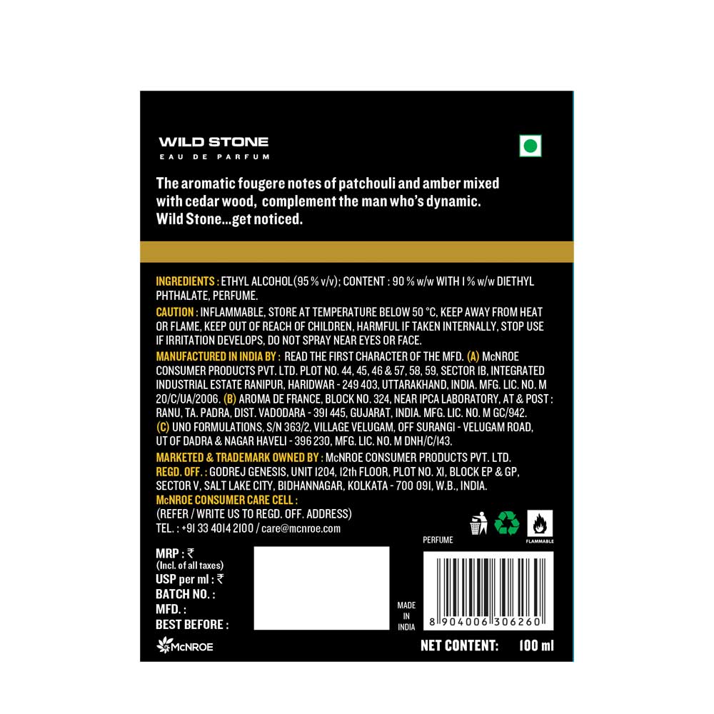 Night Rider Perfume for Men 100ml | Wild Stone